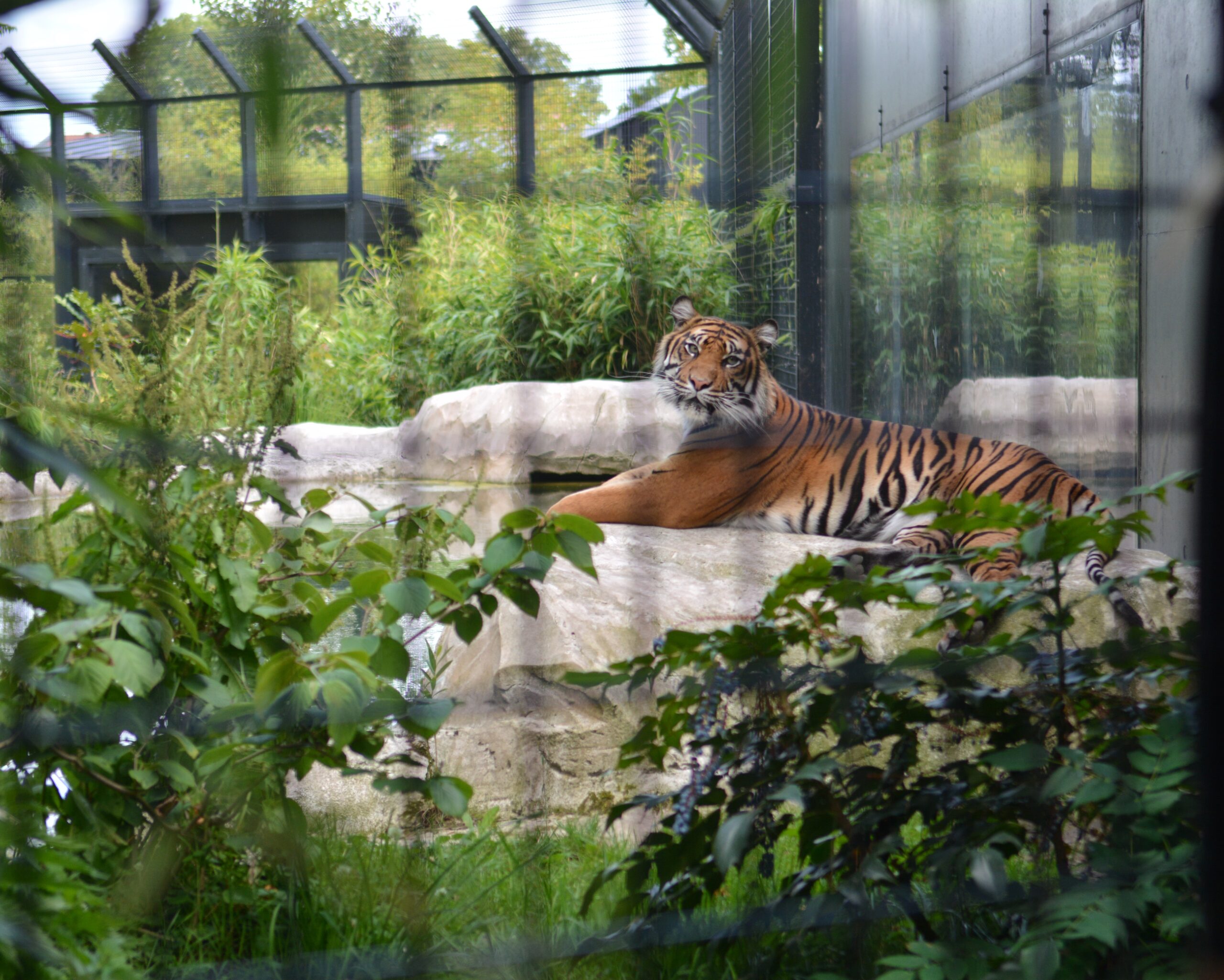 Sortie au ZOO d’ Amiens - LA JOUVENCE CASTEL
